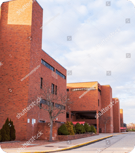 About Us | The PSBB Millennium School — Mission & Values